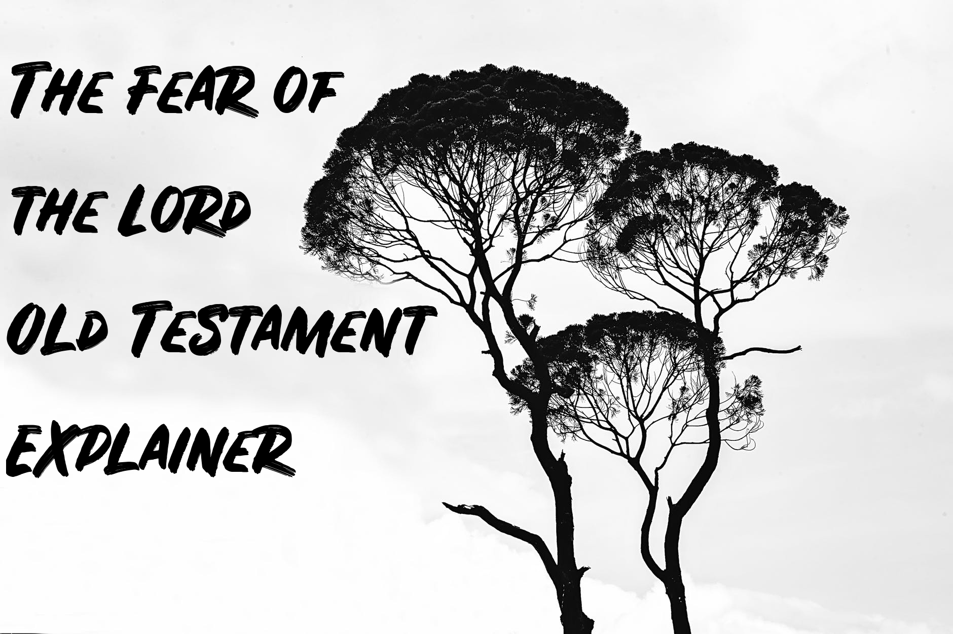 What Is The Fear Of The Lord what-is-the-fear-of-the-lord